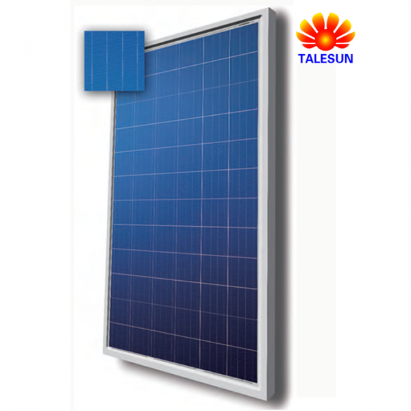 Talesun — Vico Export Solar Energy